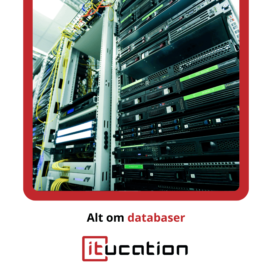Hvad er en database og hvilke typer databaser findes der? - Få svar her